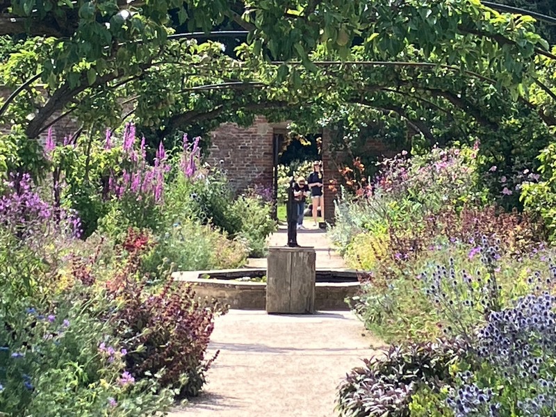 Roses, Ruins and Re-evaluating (my own garden): August tips and garden ...